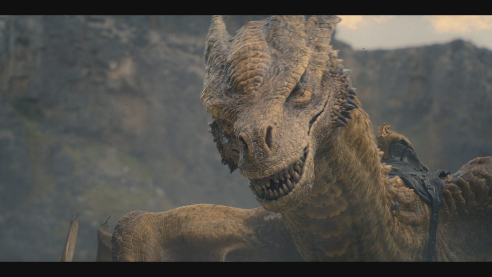 House of the Dragon comes to Showmax in Ghana | iCHRIS